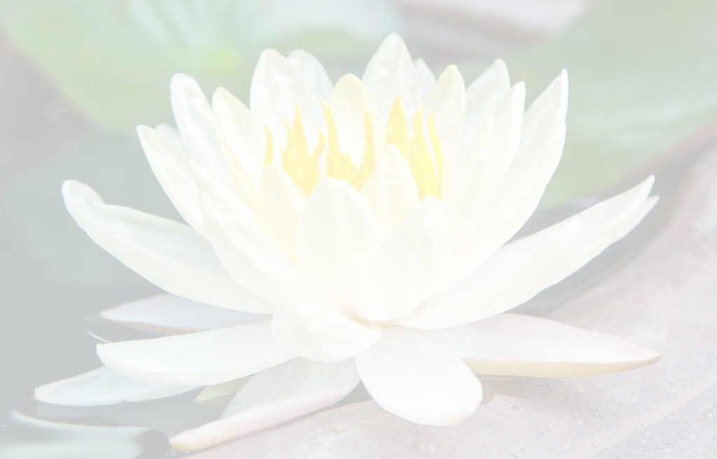 lotus – The Mahaprajna Buddhist Society